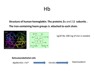 Haematinics | PDF