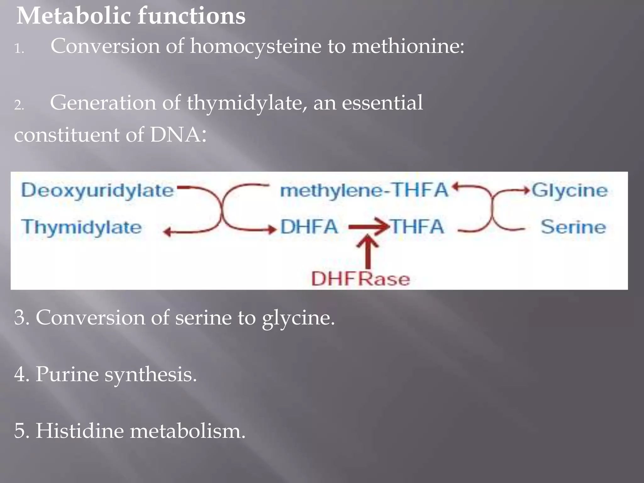 Haematinics | PPTX