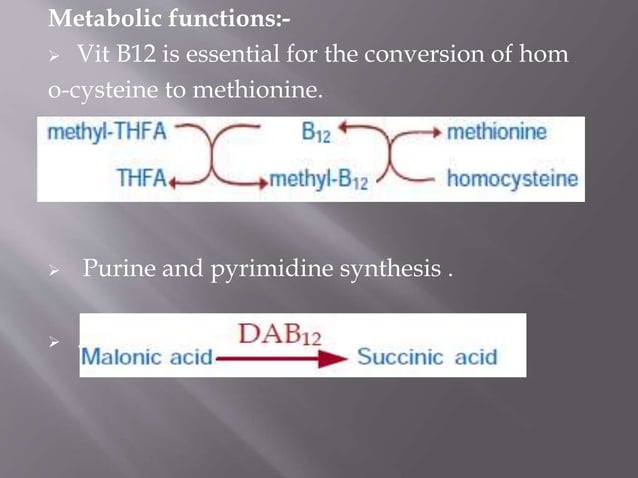 Haematinics | PPTX | Blood Disorders | Diseases and Conditions