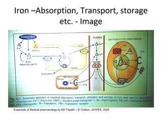 Haematinics | PPT