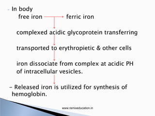 Haematinics | PDF