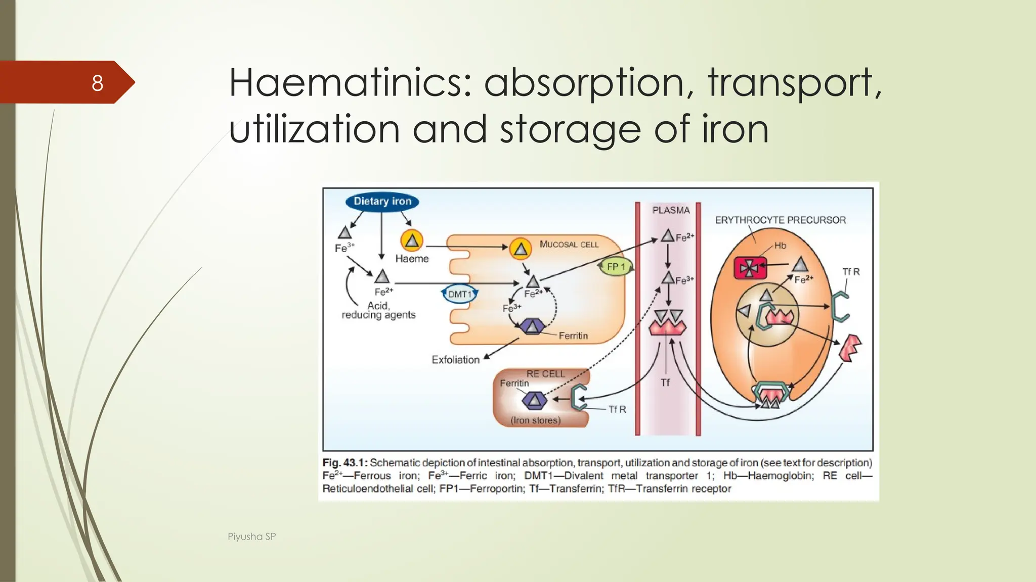 Haematinics...... Pharmacology......pptx