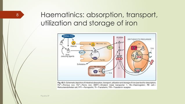 Haematinics...... Pharmacology......pptx | Blood Disorders | Diseases and Conditions