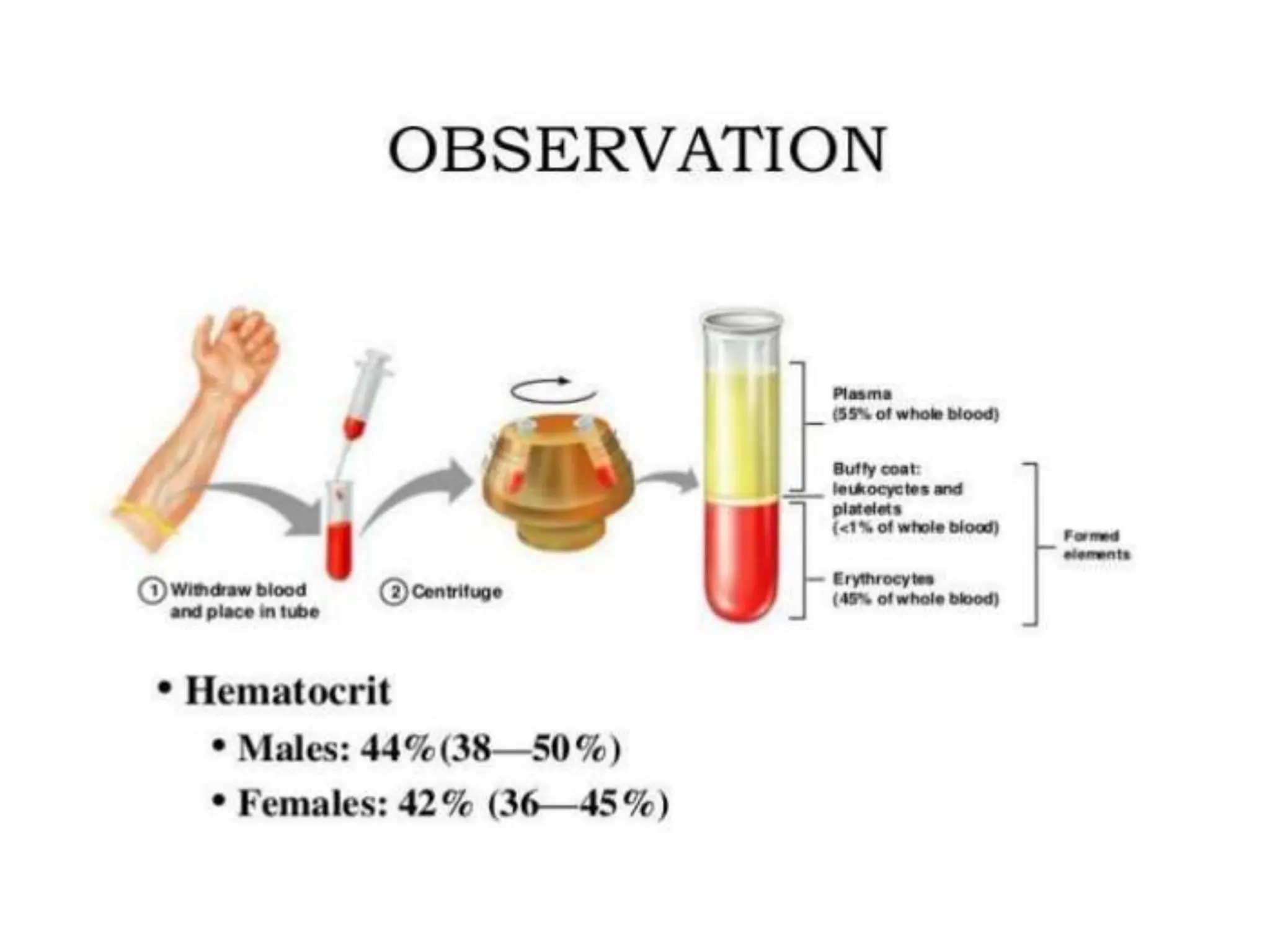Determination of Haematocrit in diagnostic hematology | PPT
