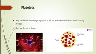 Hodgkin's and non Hodgkin's lymphoma | PPT