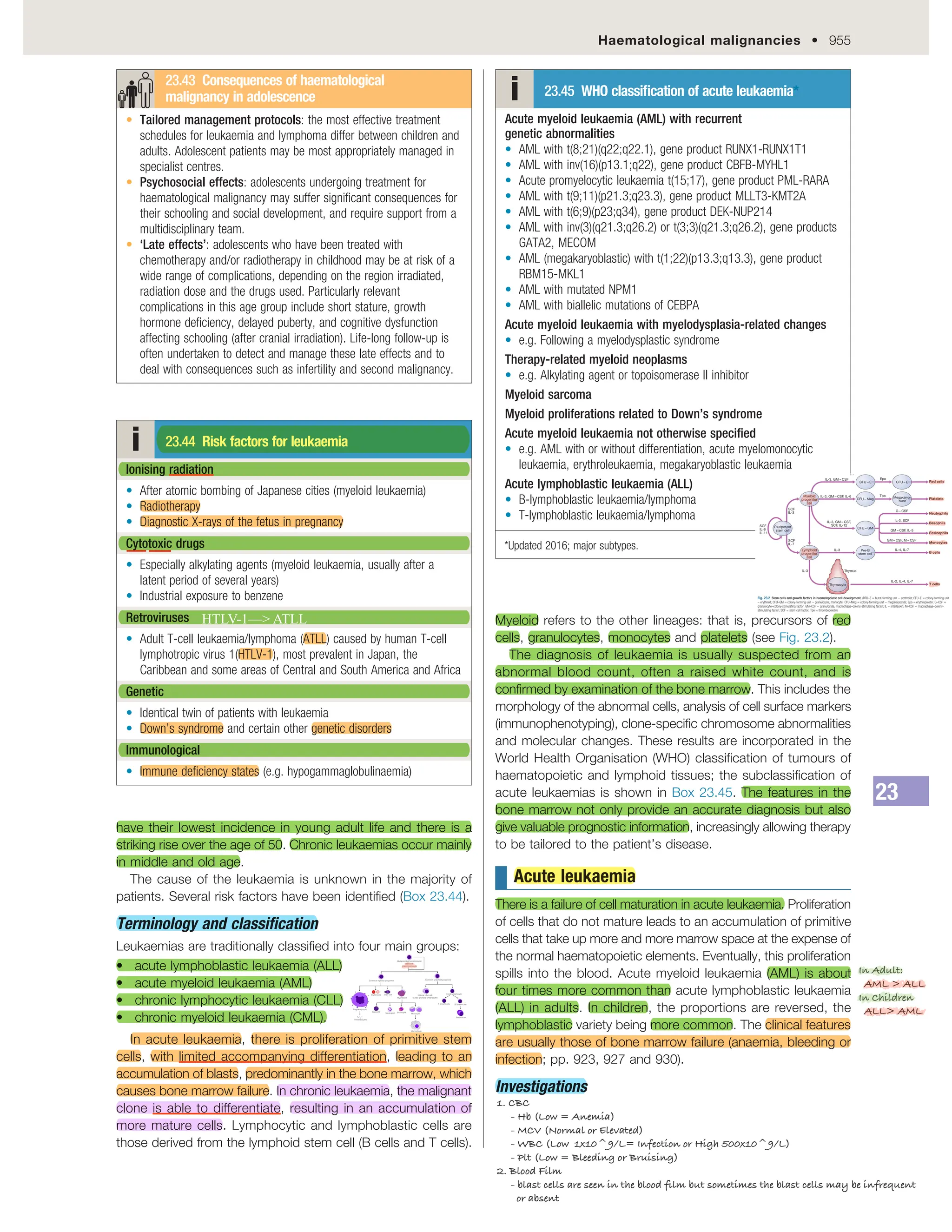 Haematological malignancies (acute lymphoblastic leukaemia (ALL), acute ...