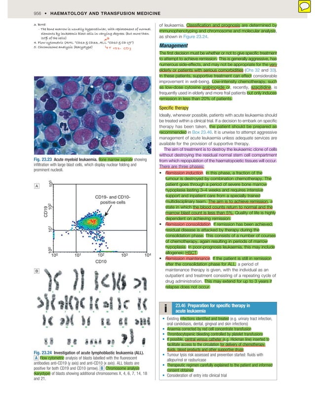 Haematological malignancies (acute lymphoblastic leukaemia (ALL), acute myeloid leukaemia (AML ...