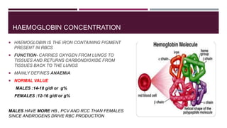 Haematological test by ameena begam | PPTX