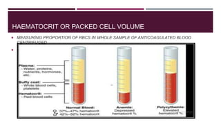 Haematological test by ameena begam | PPTX