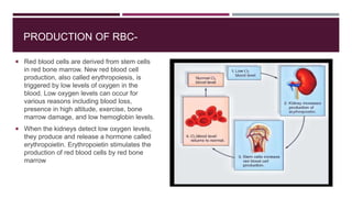 Haematological test by ameena begam | PPTX