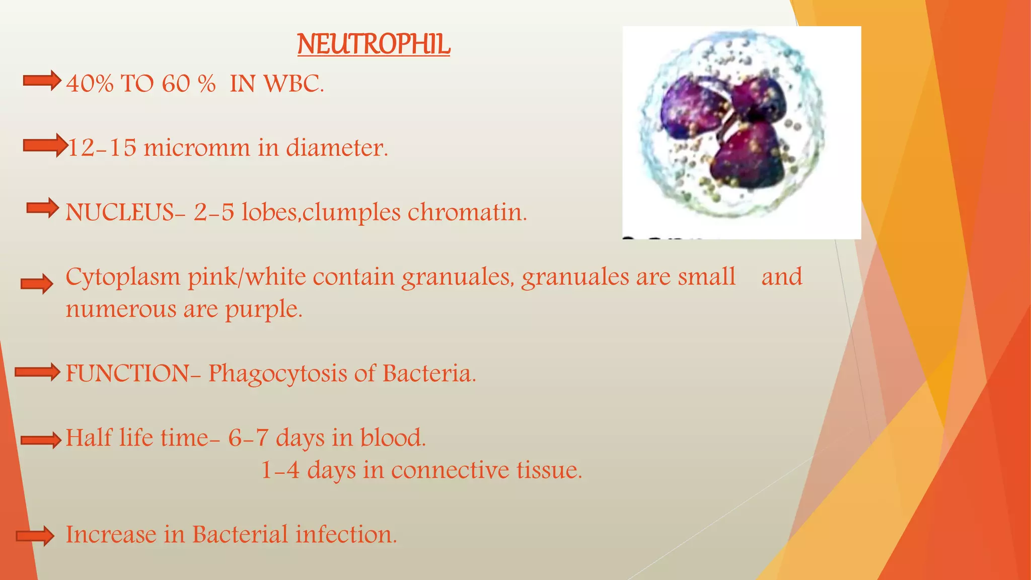 Haematology | PPTX