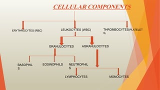 Haematology | PPTX