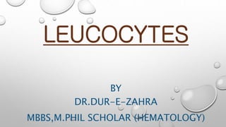 Leucocytes | PPTX