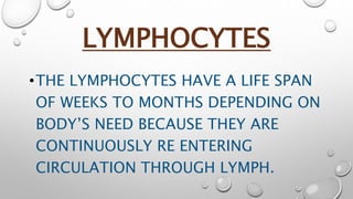 Leucocytes | PPTX