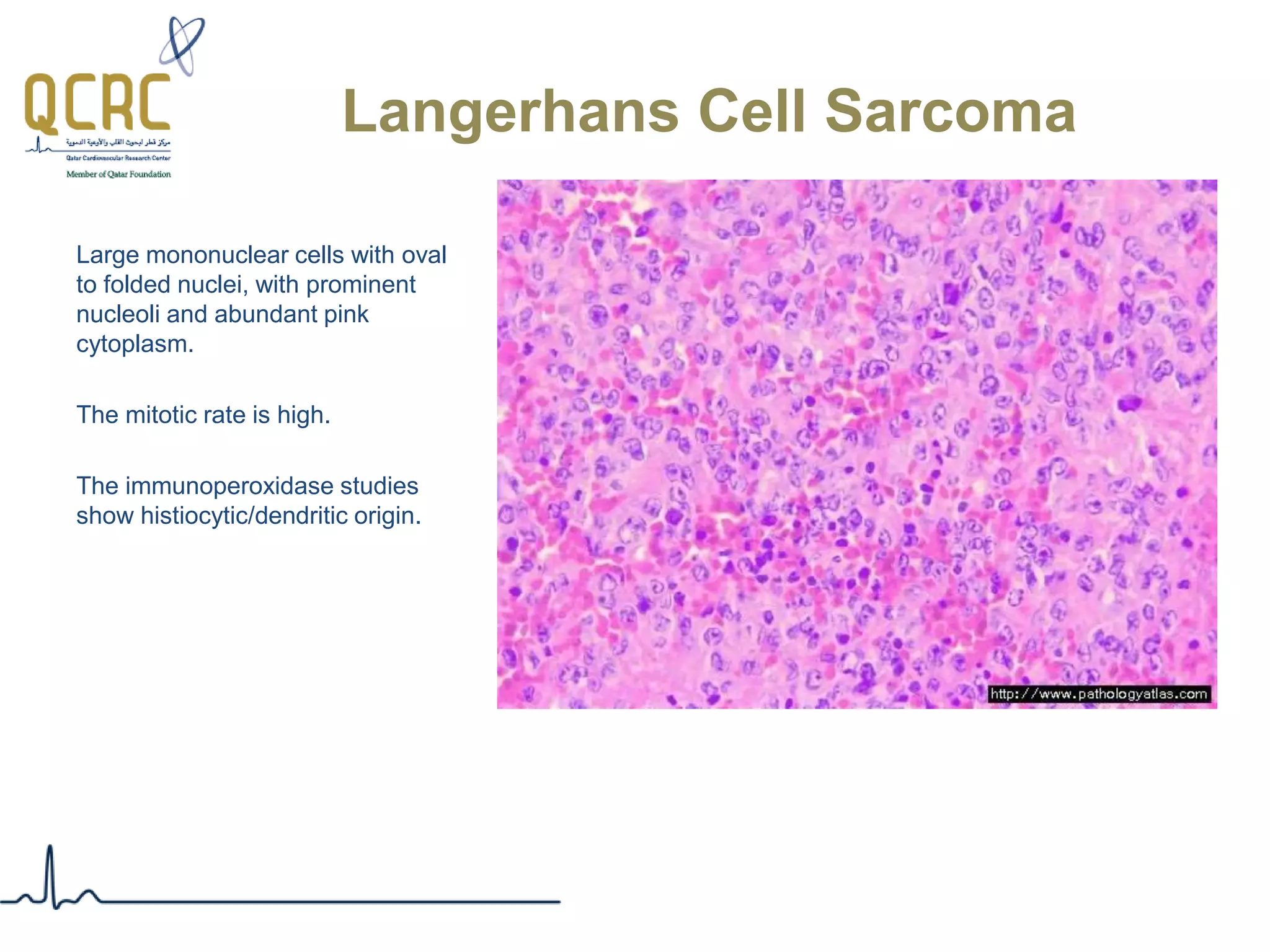 Haematopathology: Introducing the various types of anaemias and red ...