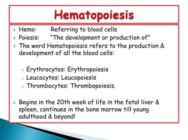 Haematopoiesis | PDF