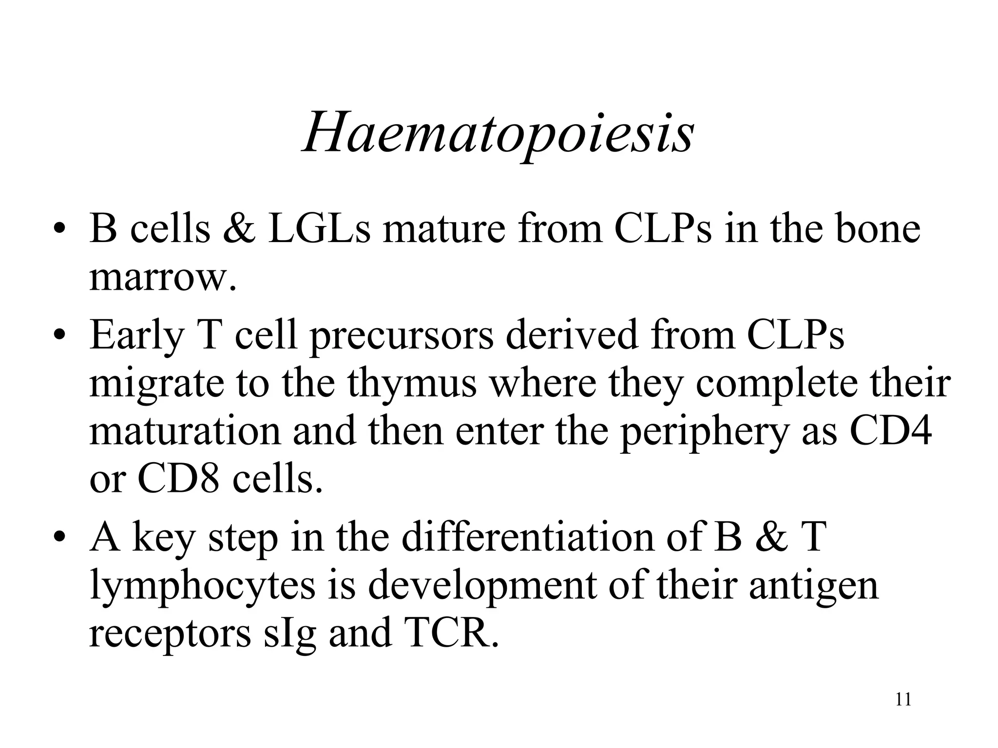 haematopoiesis.ppt
