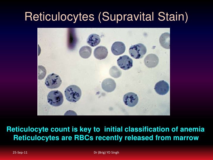 Haematopoiesis & Approach to anaemia