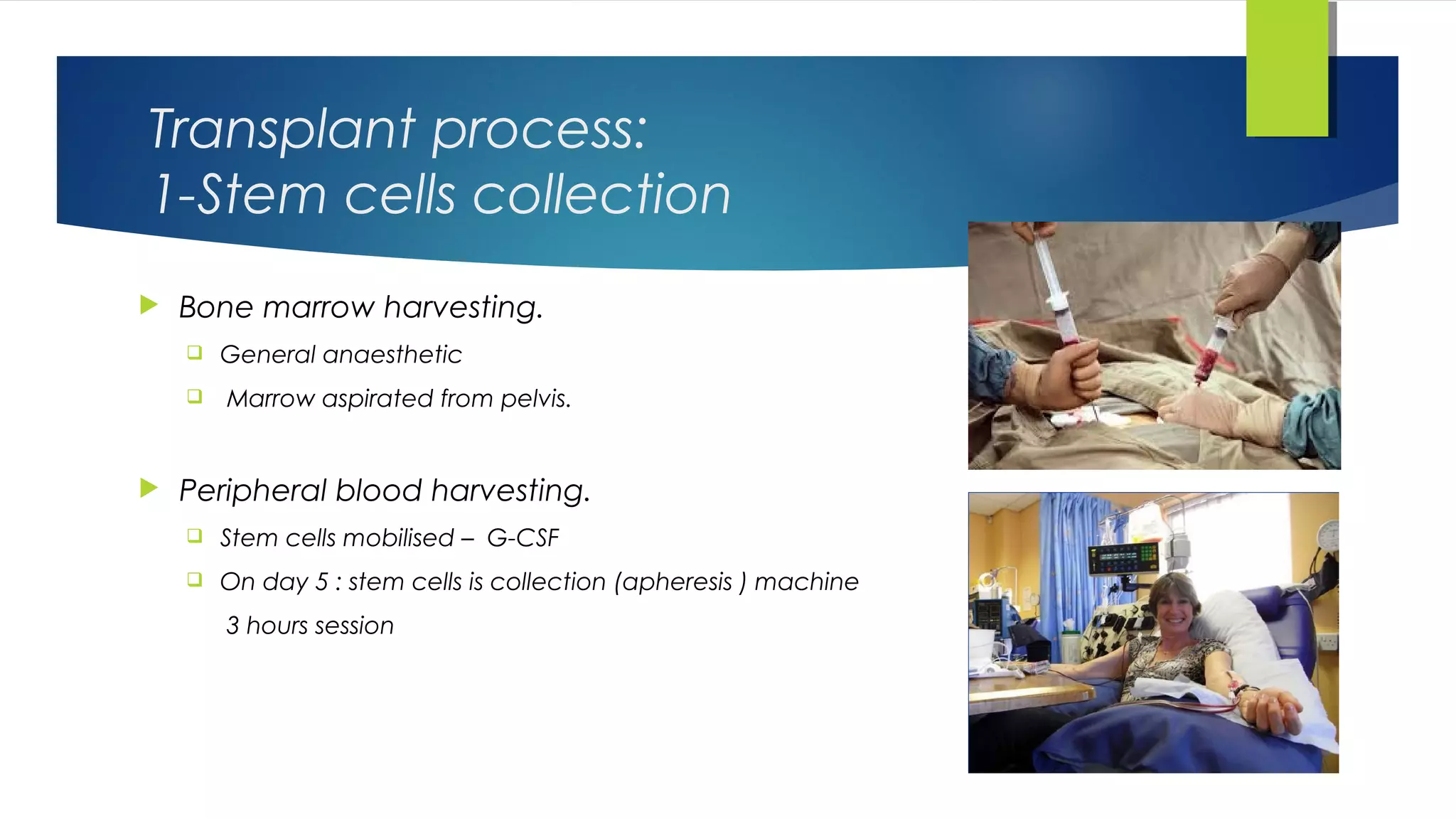 Haematopoietic stem cell transplantation | PPT
