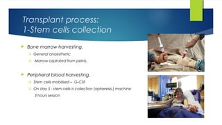 Haematopoietic stem cell transplantation | PPT