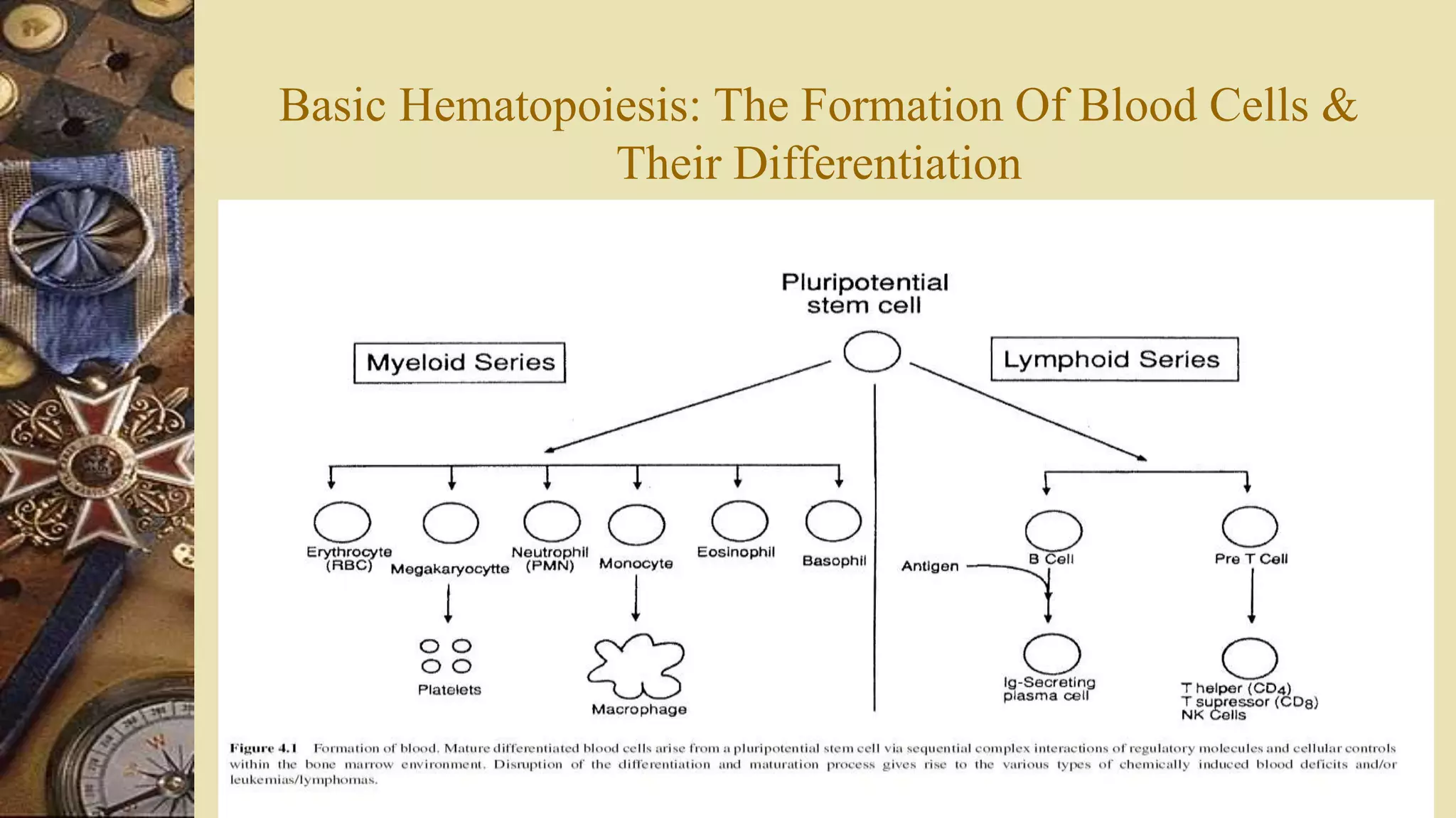 Haematotoxicity & Local Toxicity.pptx