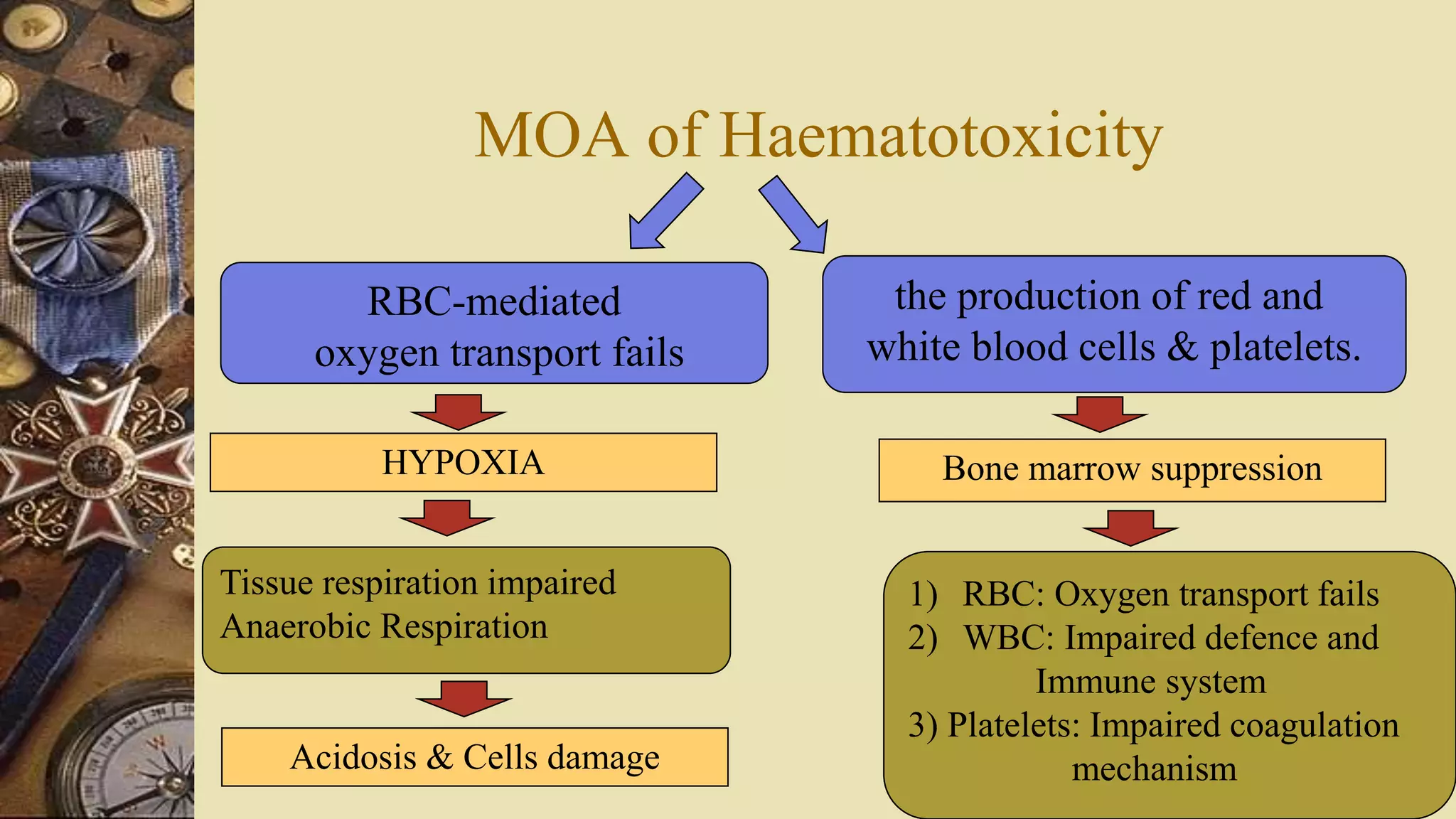 Haematotoxicity & Local Toxicity.pptx