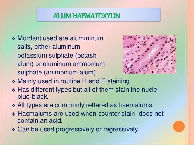 Haematoxylin and its types.ppt