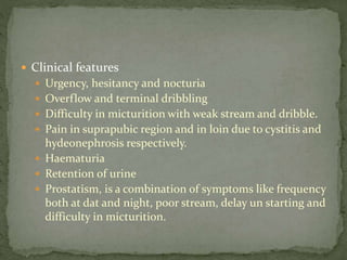 Haematuria | PPTX