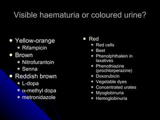 Haematuria in Primary Care | PPT | Blood Disorders | Diseases and Conditions