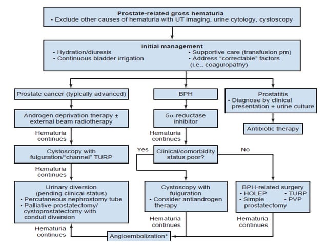 Haematuria management new | PPT