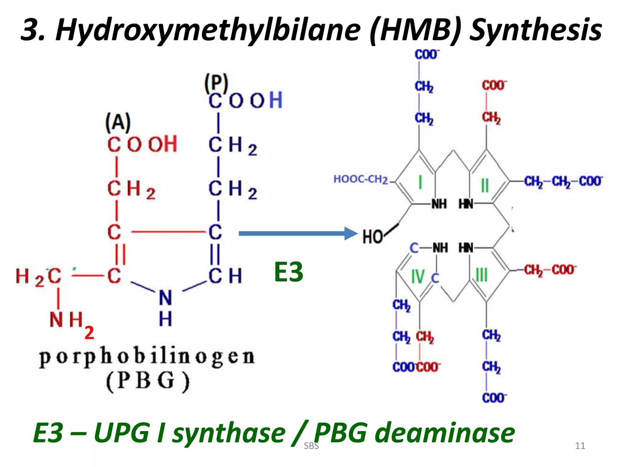 Haem metabolism SBS 2018 | PPTX
