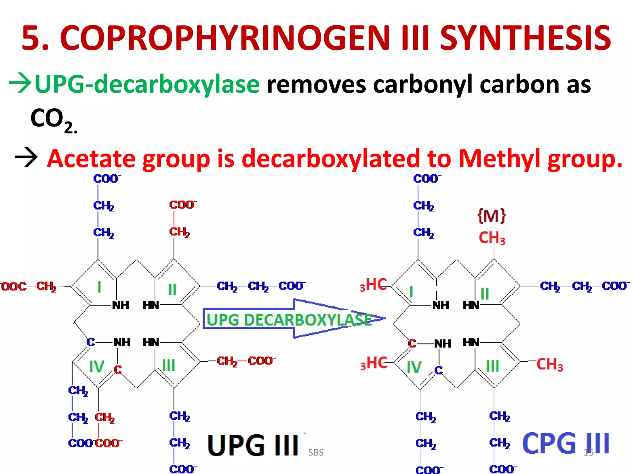 Haem metabolism SBS 2018 | PPTX