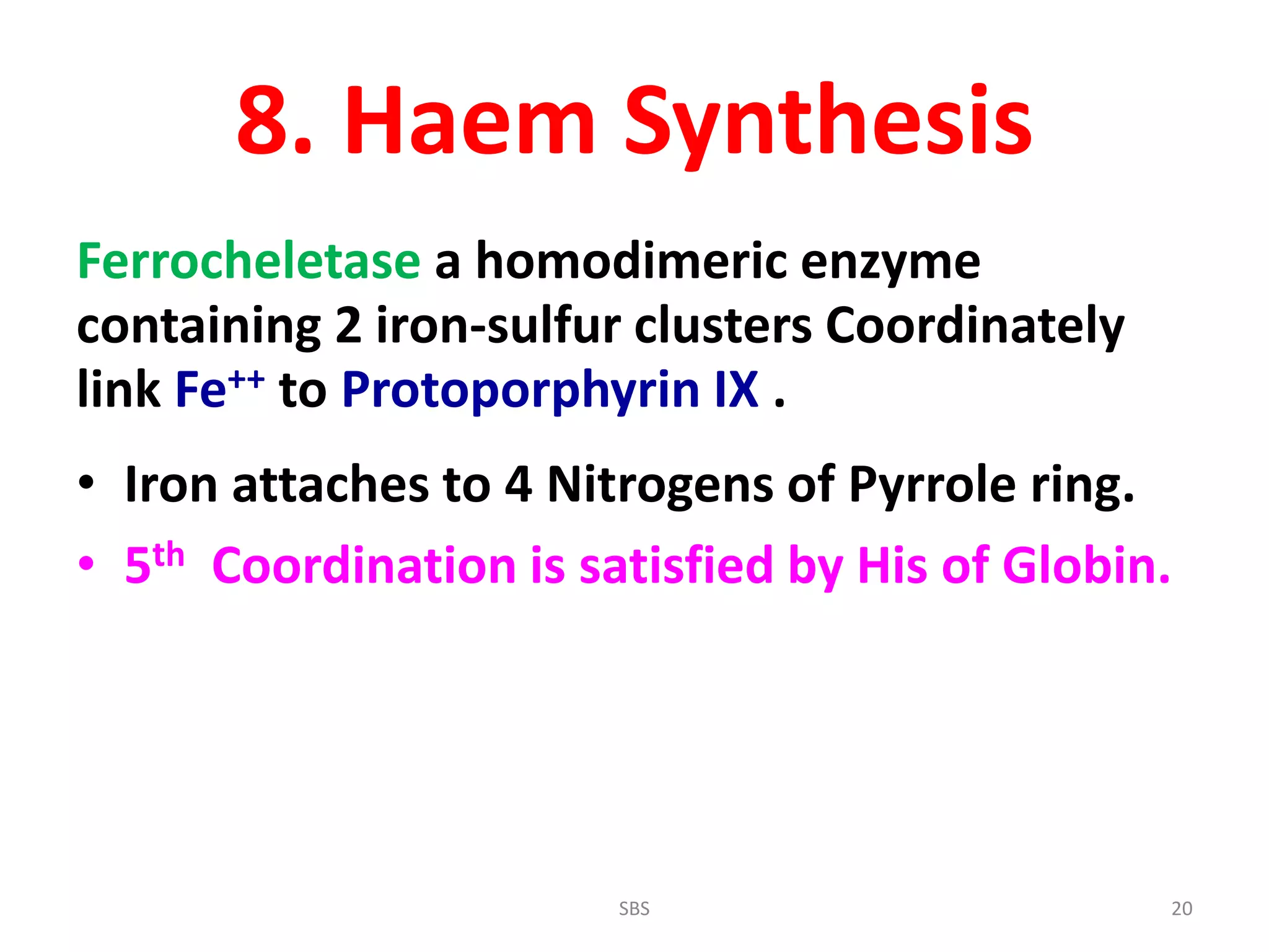 Haem metabolism SBS 2018 | PPTX