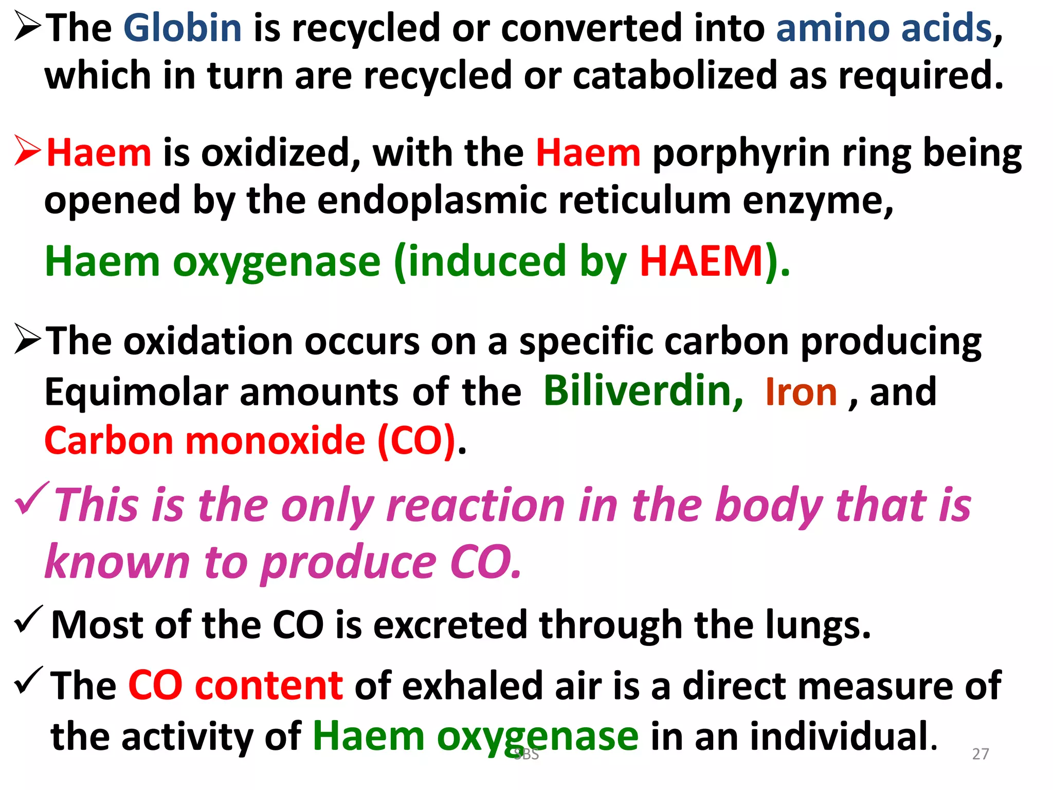 Haem metabolism SBS 2018 | PPTX | Blood Disorders | Diseases and Conditions