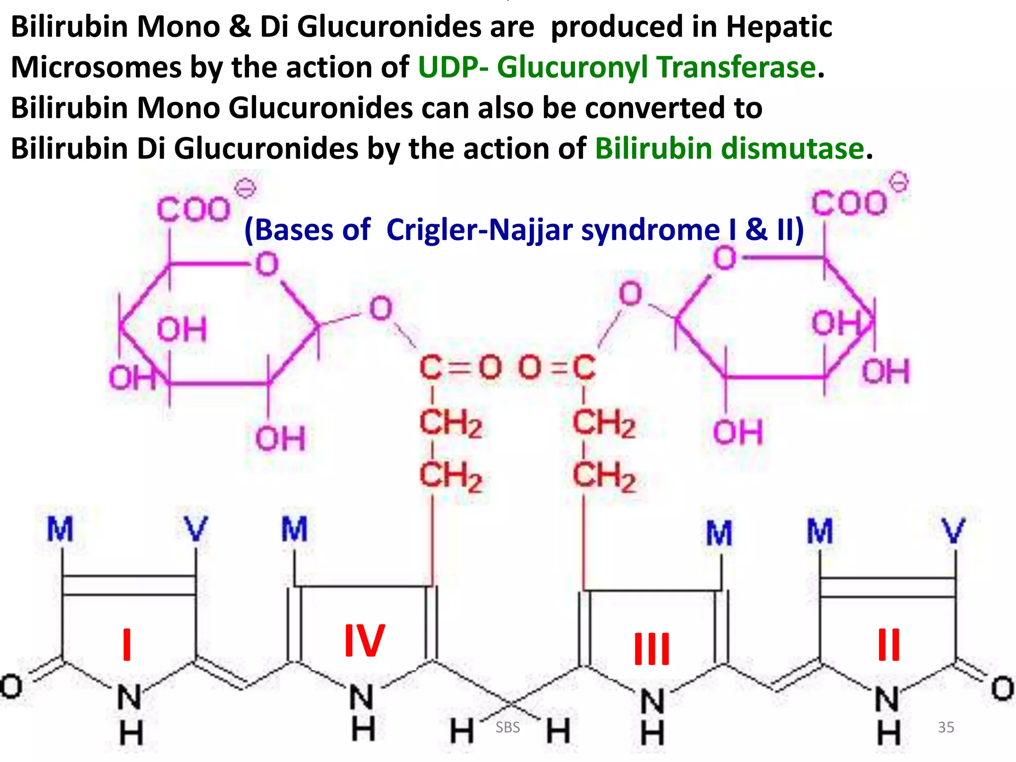 Haem metabolism SBS 2018 | PPTX