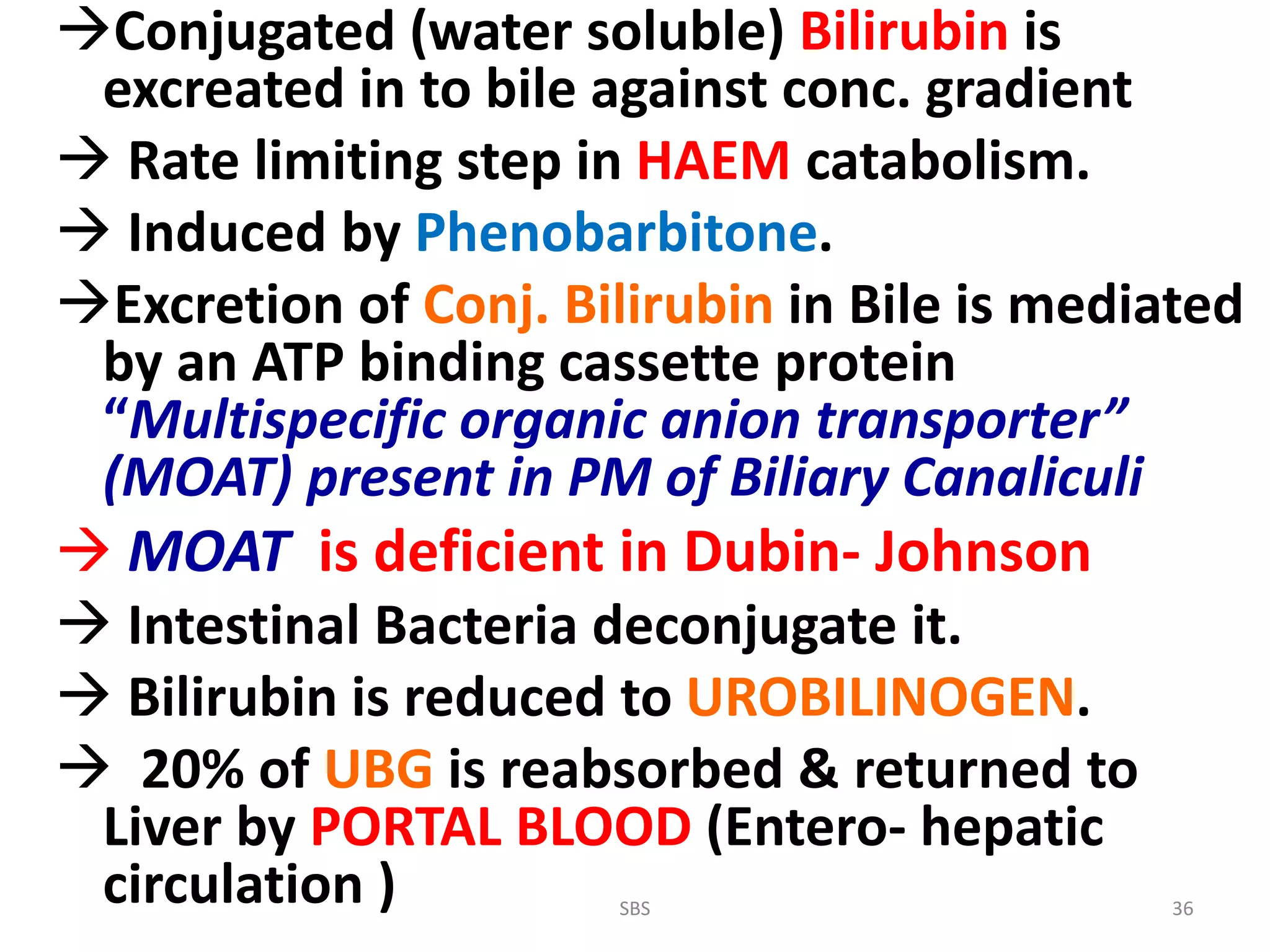 Haem metabolism SBS 2018 | PPTX | Blood Disorders | Diseases and Conditions