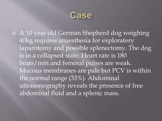 Haemoabdomen cbd | PPT