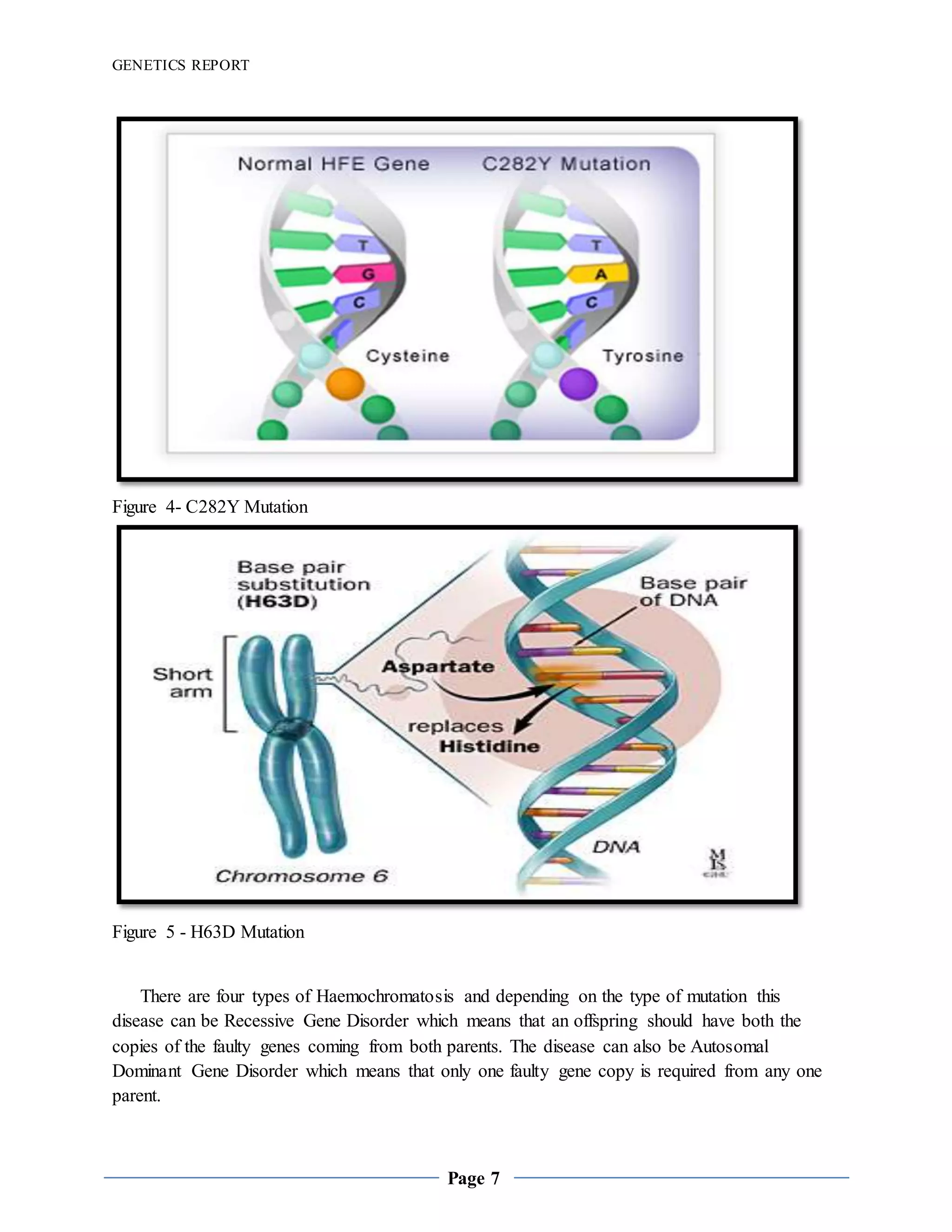 Haemochromatosis maryam asghar | DOCX
