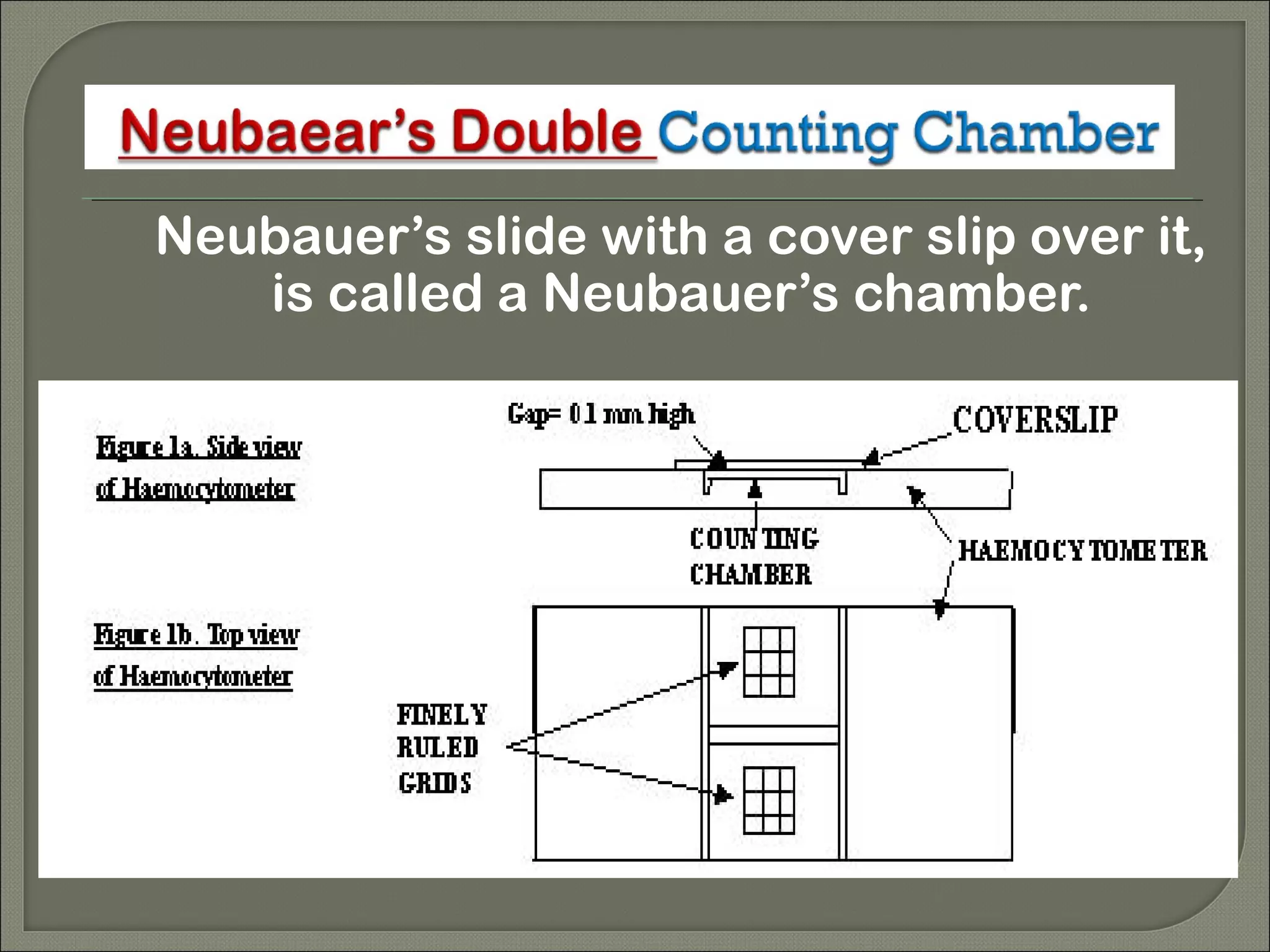Haemocytometer | PPT