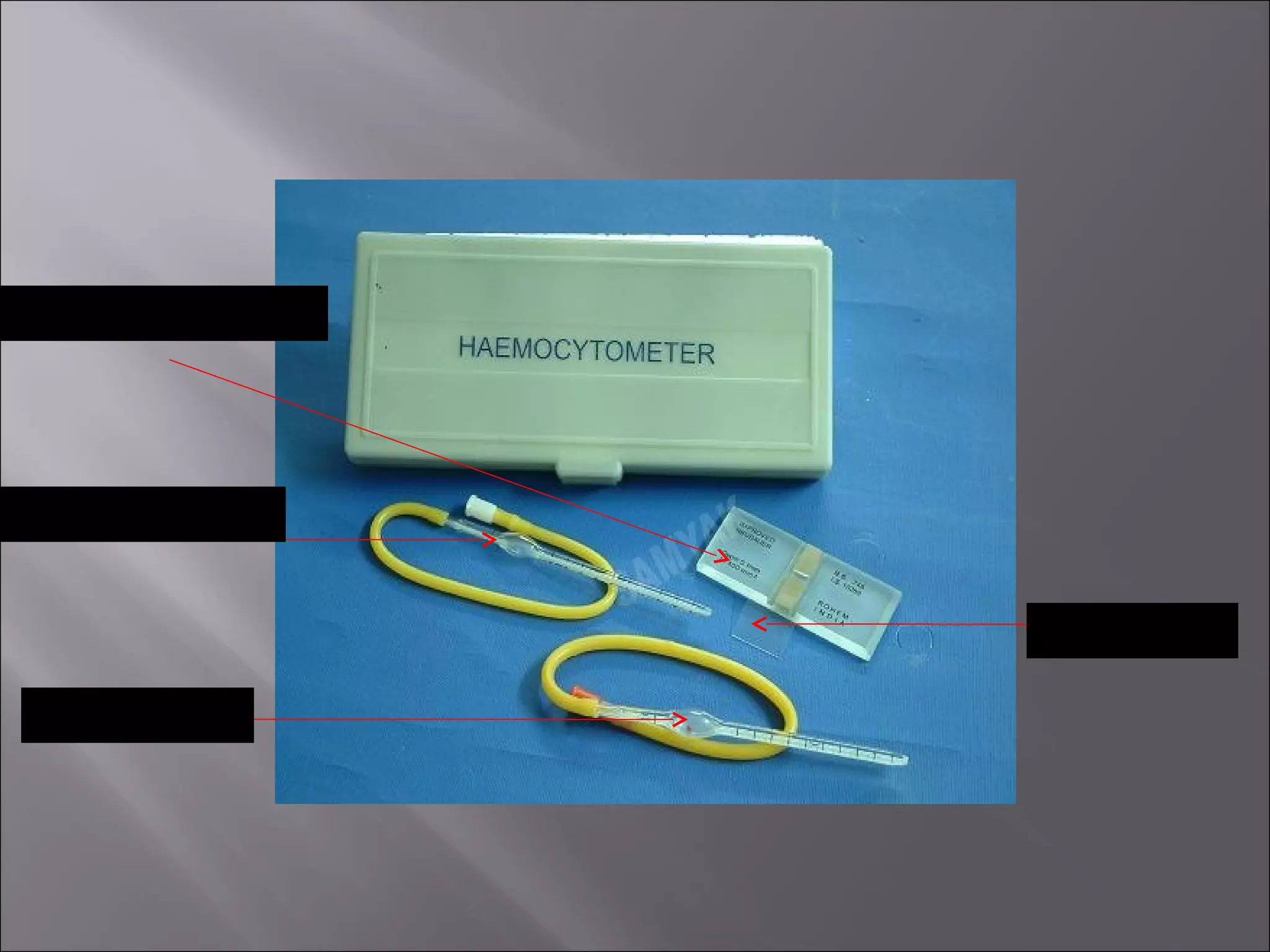 Haemocytometer | PPT