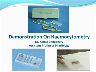 Hemocytometer Slide
