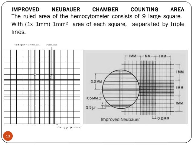 Haemocytometer