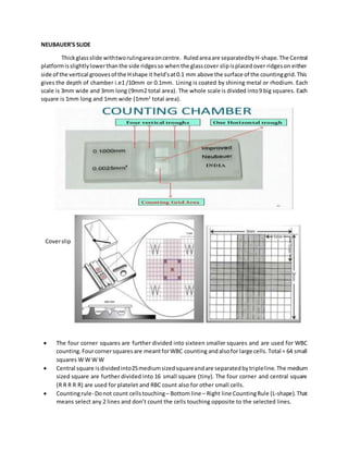 Haemocytometer | DOCX