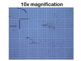 Demonstration of Hemocytometer Power point | PPTX