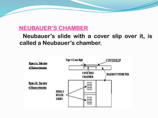 Demonstration of Hemocytometer Power point | PPTX