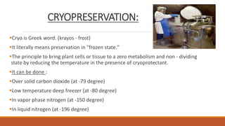 haemocytometer (AARTI PAL).pptx M Pharmacy | PPT