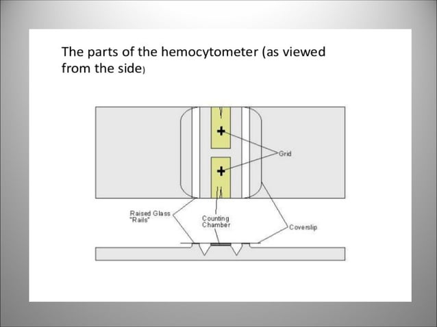 Haemocytometer lectuer | PPT