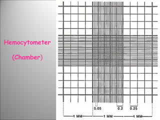 Haemocytometer lectuer | PPT