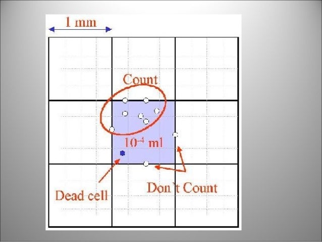 Haemocytometer lectuer