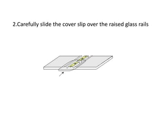 Haemocytometer ppt animal cell culture | PPTX